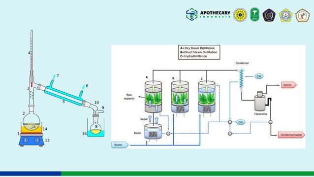 Teknologi Ekstraksi Bahan Alam: Fundamental dan Metode-metode Ekstraksi ...