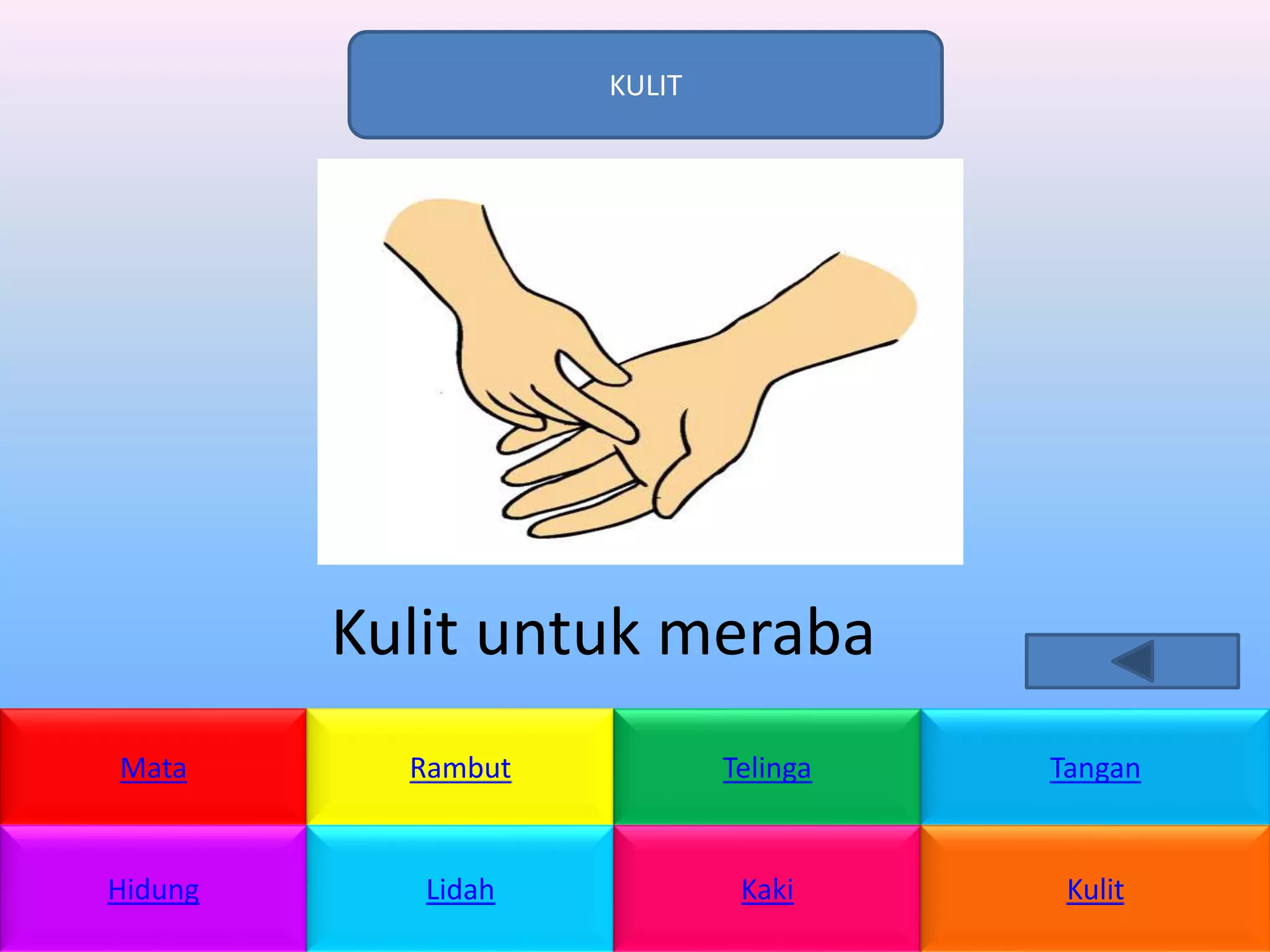Materi tematik kelas 1 sd tema diriku | PPTX