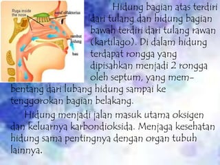 Materi Tentang Hidung | PPTX