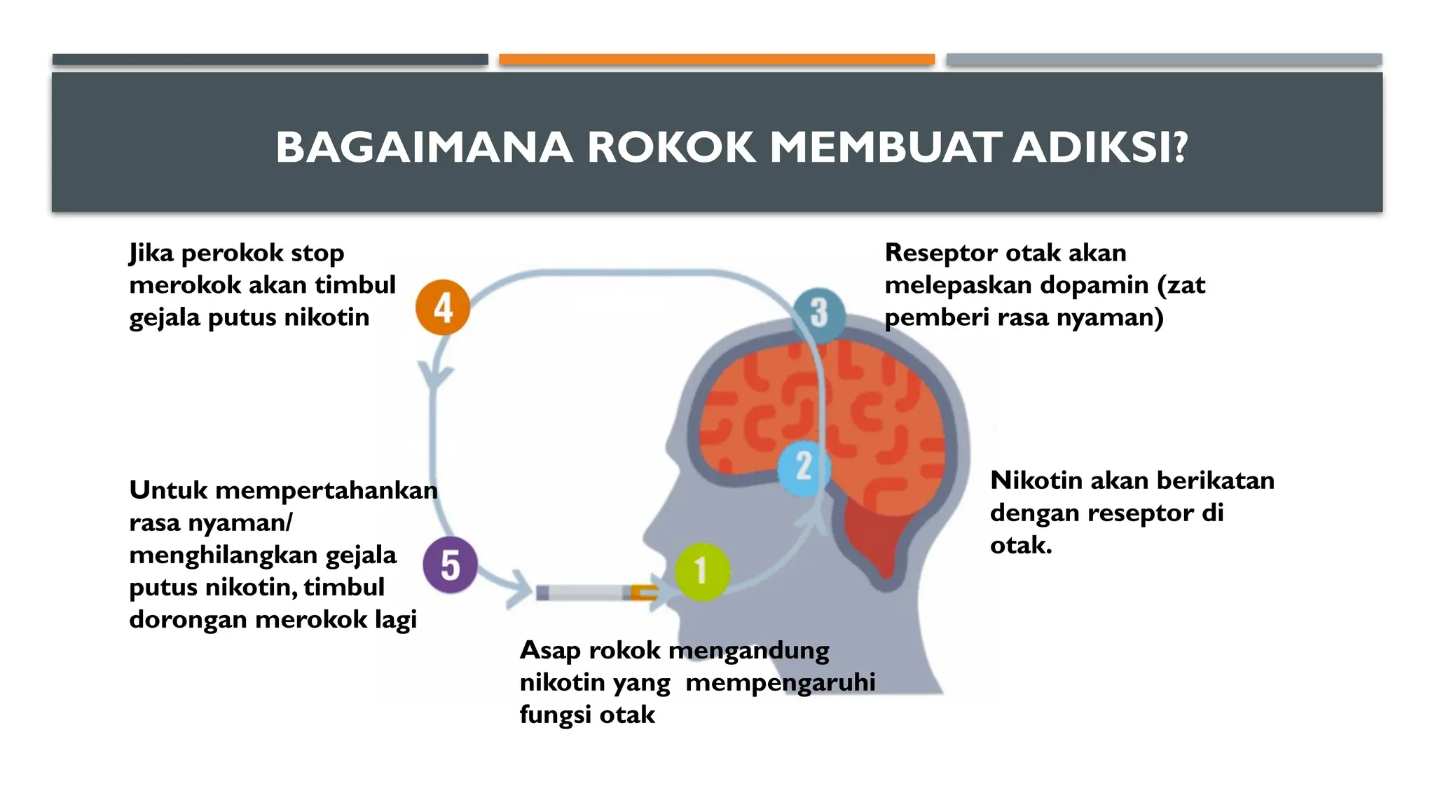 MATERI upaya berhenti merokok (UMB).pptx