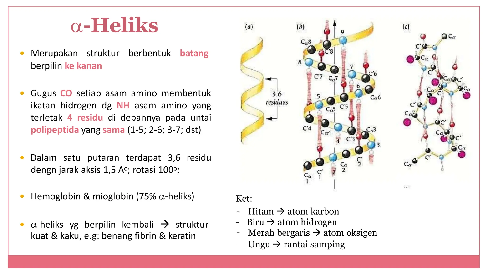 Materi UTS Biokimia.pdf