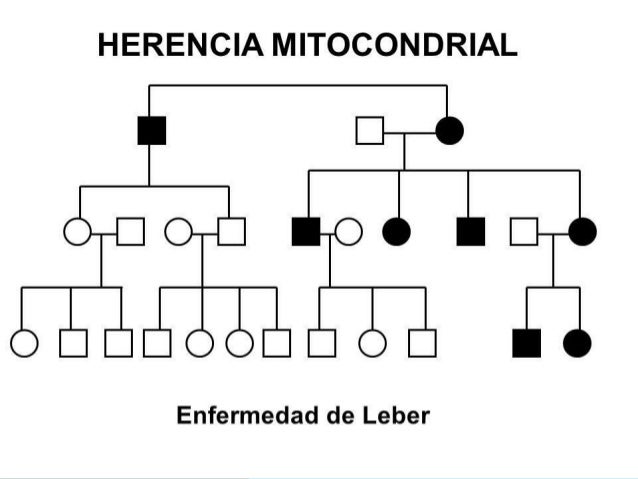 HERENCIA MATERNA O MITOCONDRIAL
