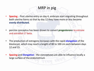 Maternal-recognition-of-pregnancy.pptx