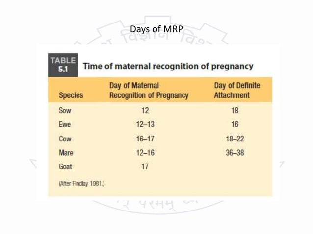 Maternal-recognition-of-pregnancy.pptx