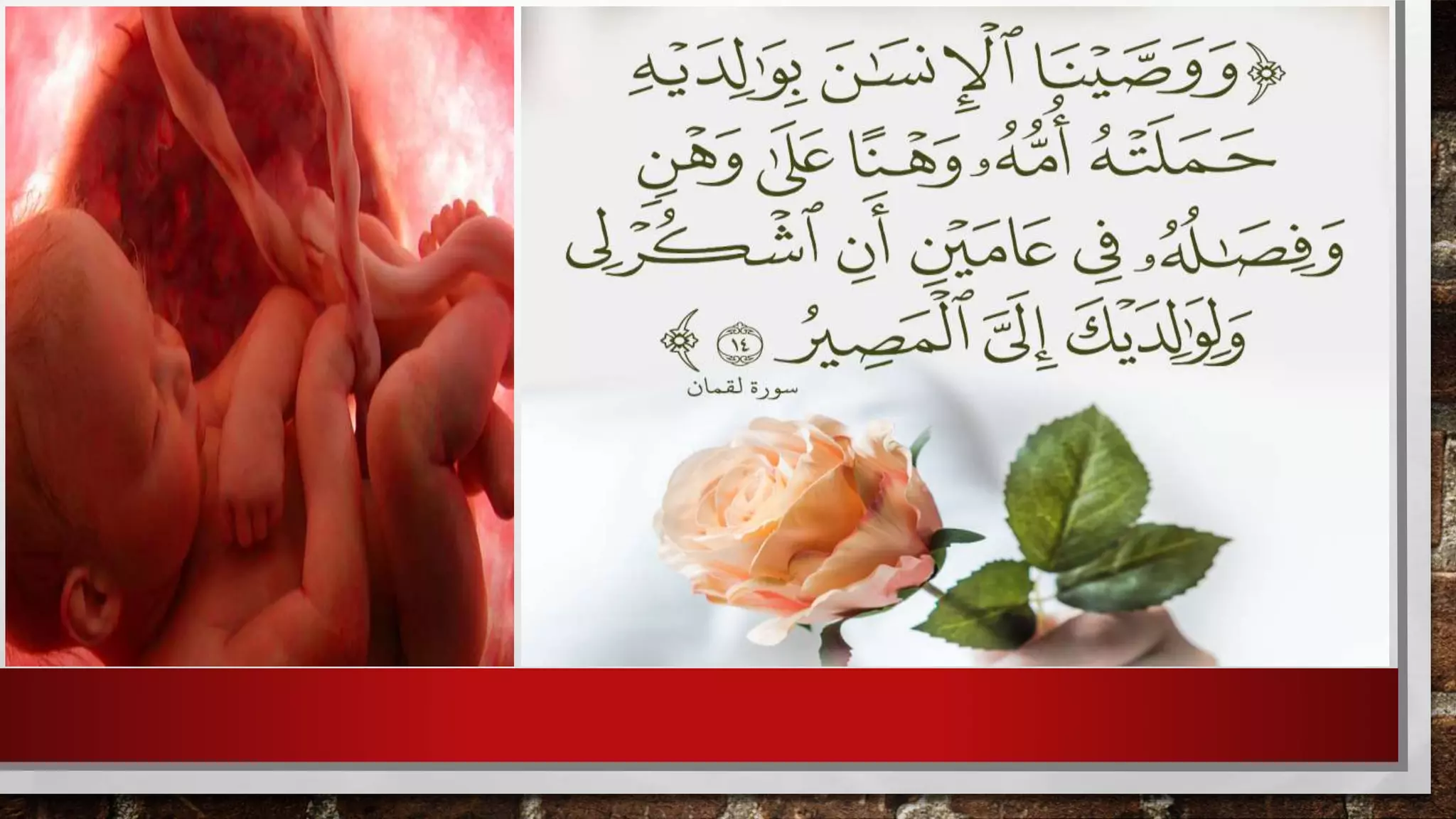 Maternal anatomical, physiological and biomechanical changes during ...