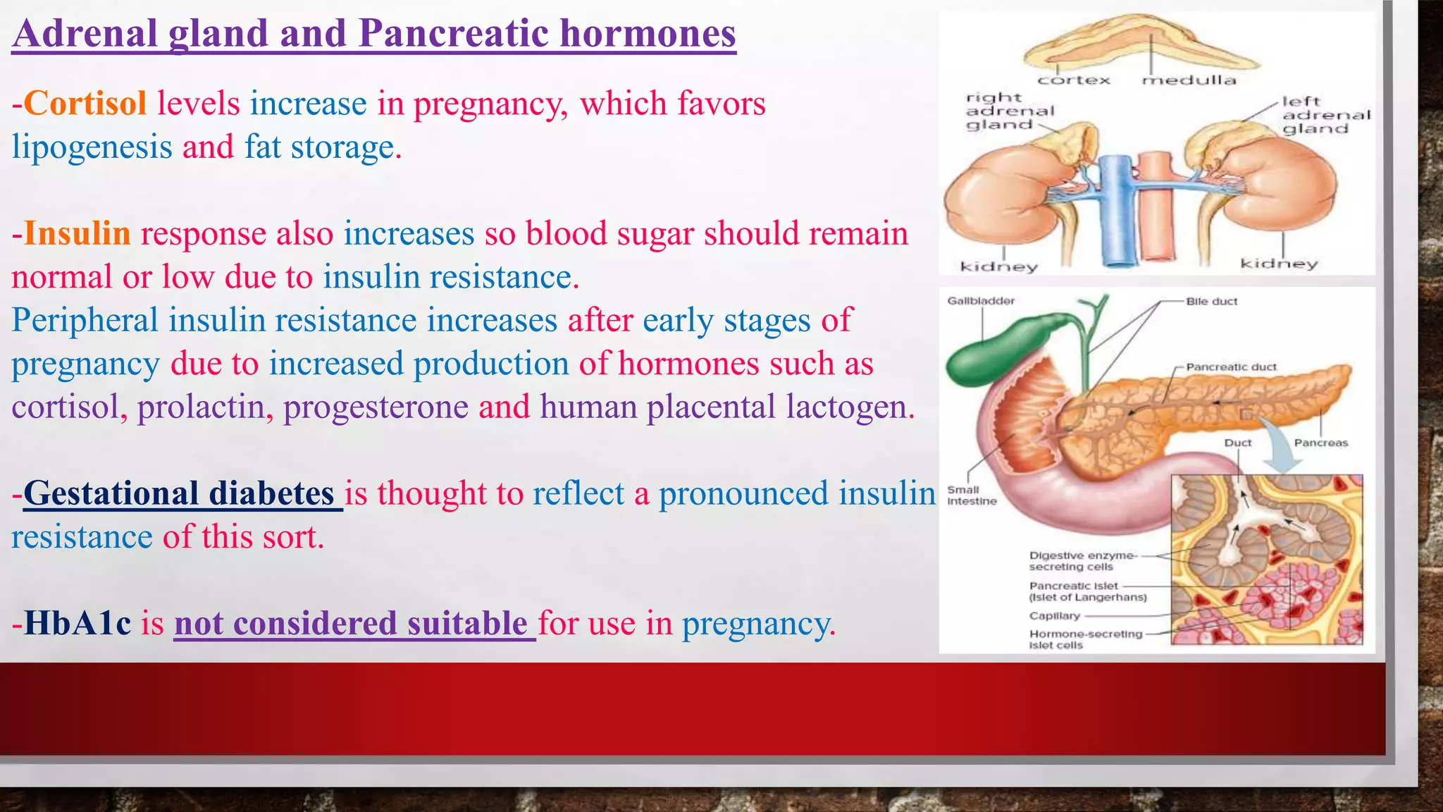 Maternal anatomical, physiological and biomechanical changes during pregnancy | PDF