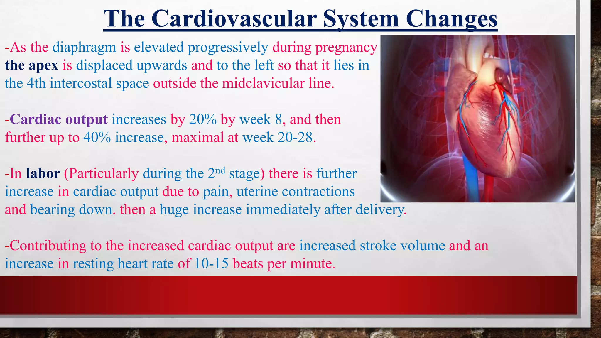 Maternal anatomical, physiological and biomechanical changes during pregnancy | PDF