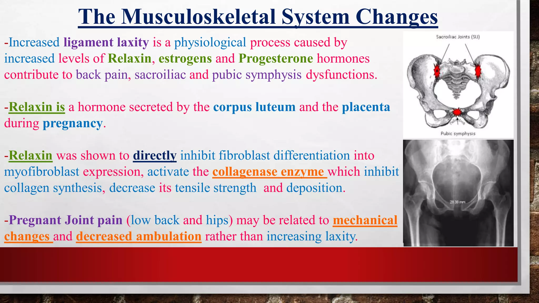 Maternal anatomical, physiological and biomechanical changes during pregnancy | PDF