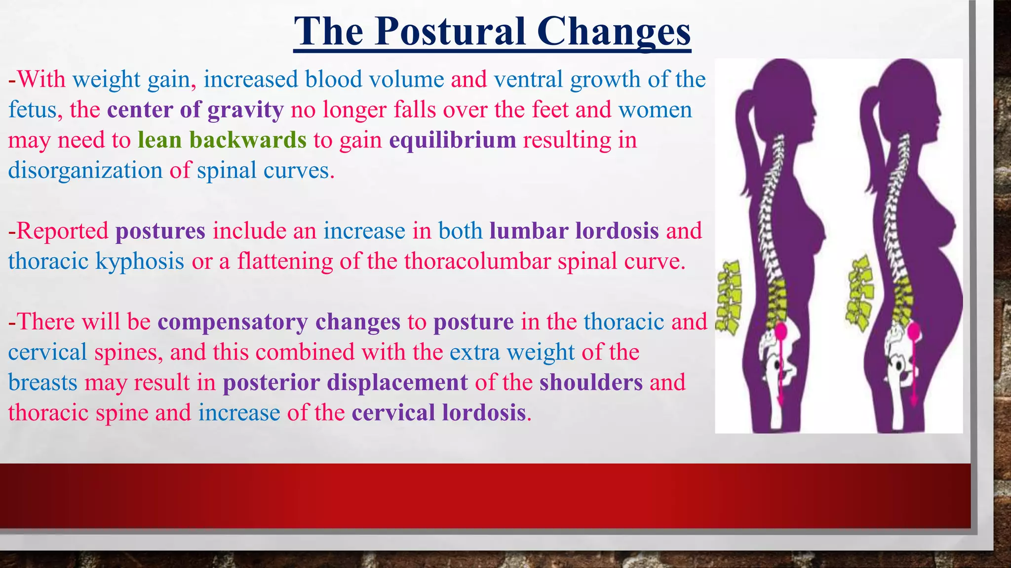 Maternal anatomical, physiological and biomechanical changes during ...