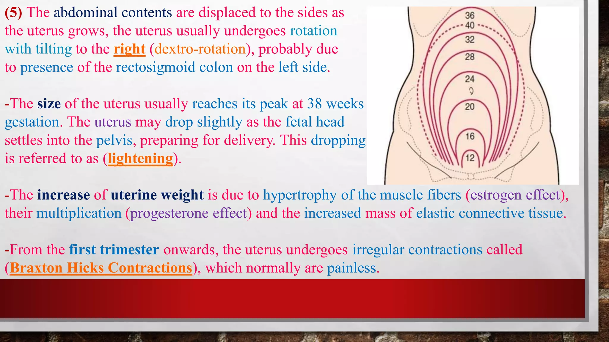 Maternal anatomical, physiological and biomechanical changes during pregnancy | PDF