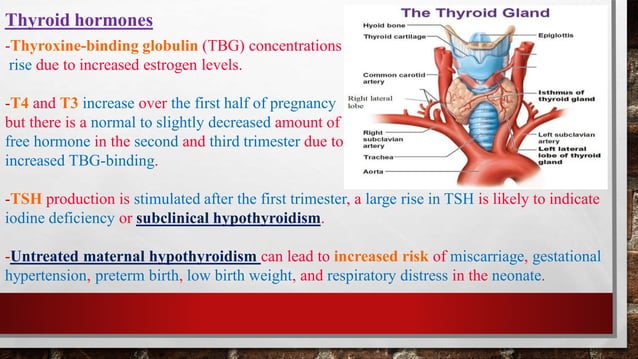 Maternal anatomical, physiological and biomechanical changes during ...
