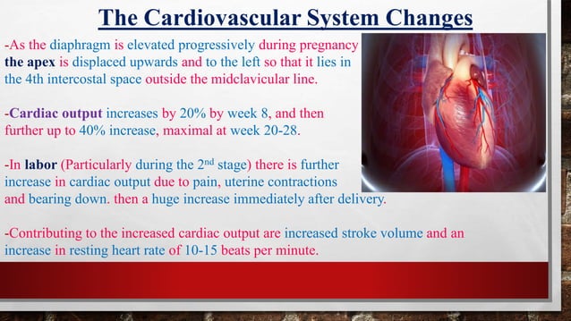 Maternal anatomical, physiological and biomechanical changes during ...