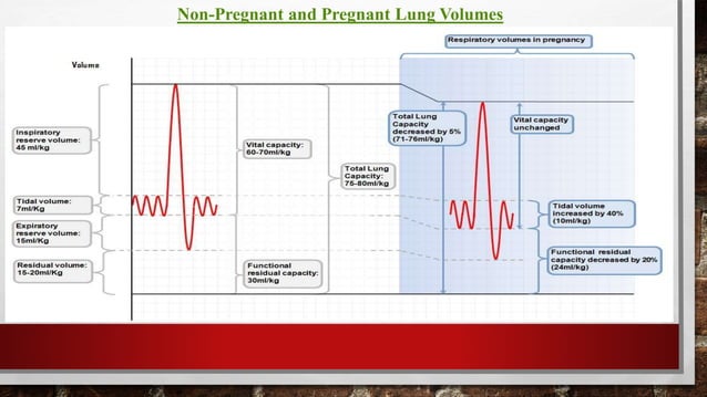 Maternal anatomical, physiological and biomechanical changes during ...