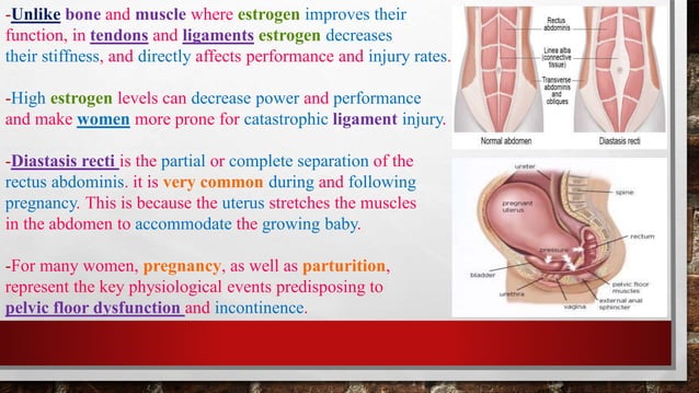 Maternal anatomical, physiological and biomechanical changes during pregnancy | PDF | Pregnancy ...