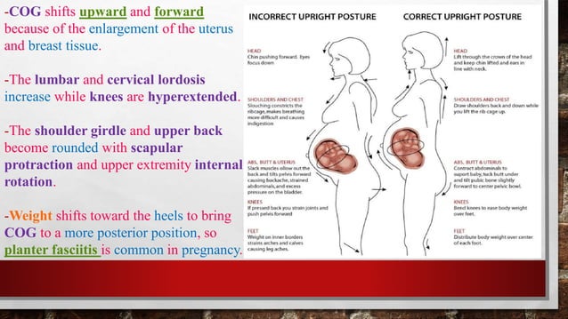 Maternal anatomical, physiological and biomechanical changes during pregnancy | PDF | Pregnancy ...