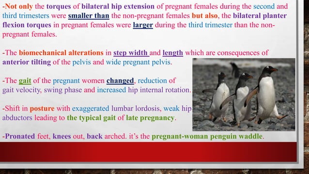 Maternal anatomical, physiological and biomechanical changes during ...