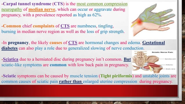 Maternal anatomical, physiological and biomechanical changes during ...