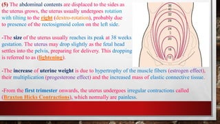 Maternal anatomical, physiological and biomechanical changes during pregnancy | PDF