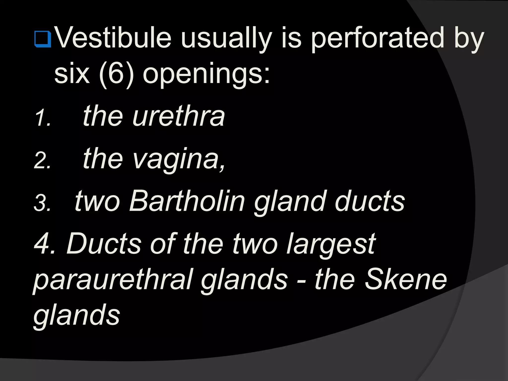 MATERNAL ANATOMY.pptx