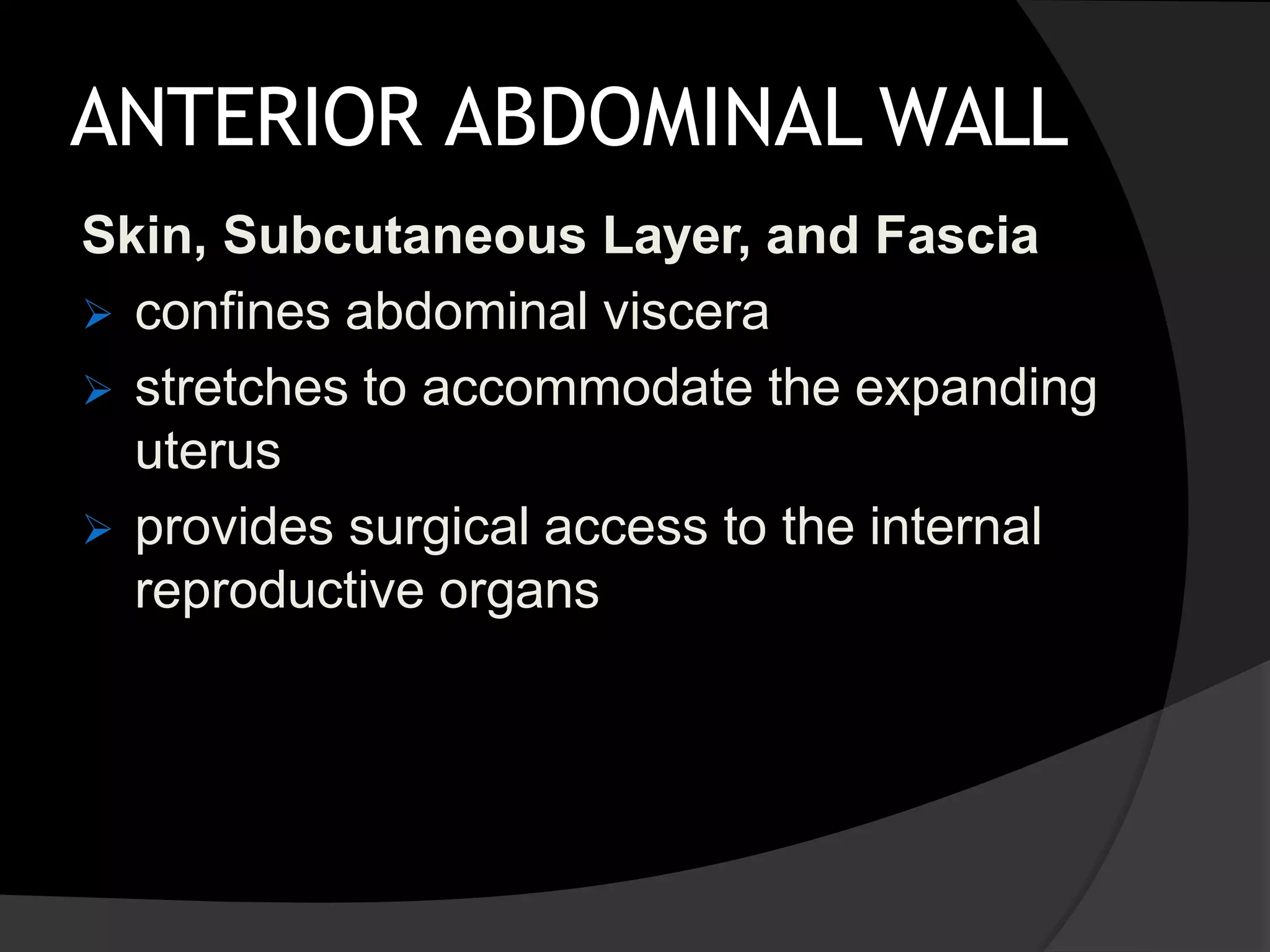 MATERNAL ANATOMY.pptx
