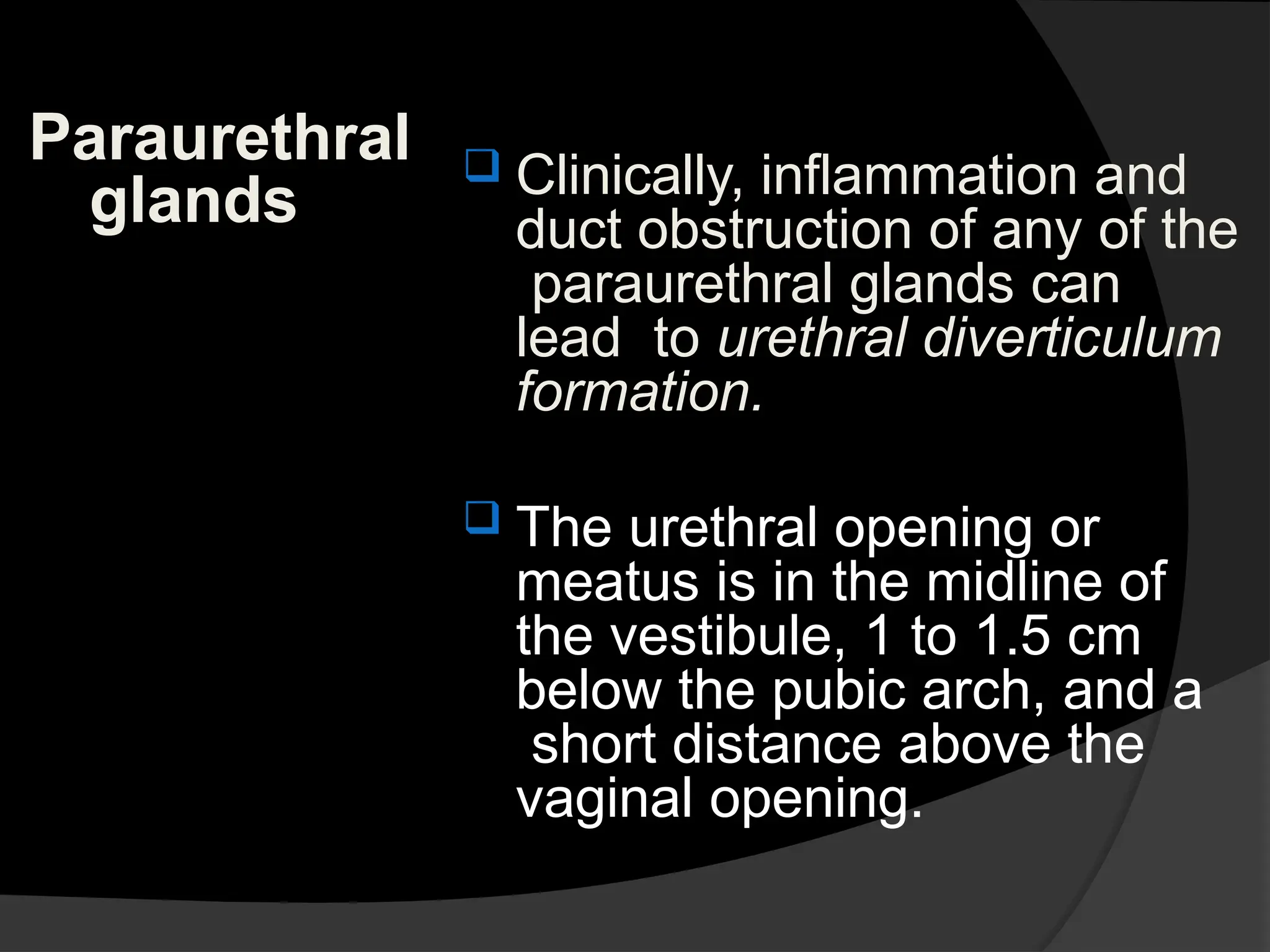Details descriptions about MATERNAL ANATOMY.pptx