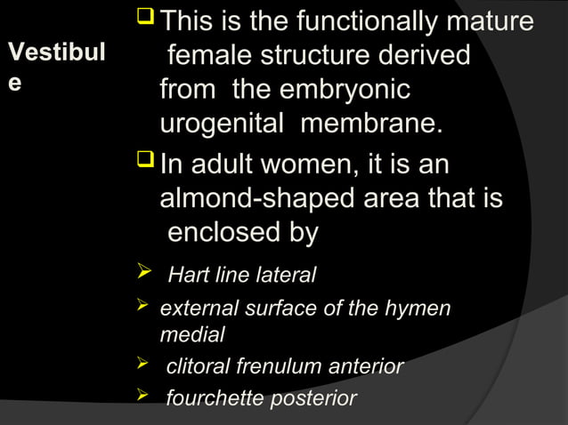 Details descriptions about MATERNAL ANATOMY.pptx