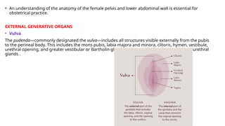 maternal anatomy .pptx. . | PPTX