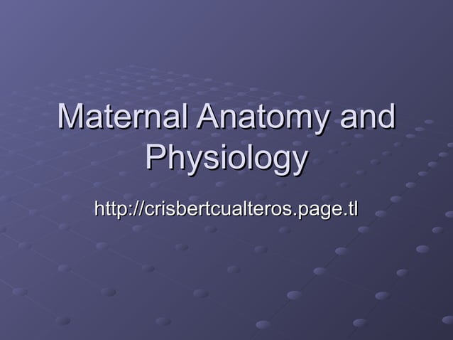 Maternal Anatomy And Physiology | PPT