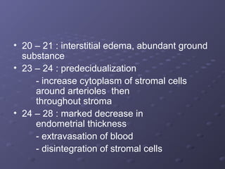 Maternal Anatomy And Physiology | PPT