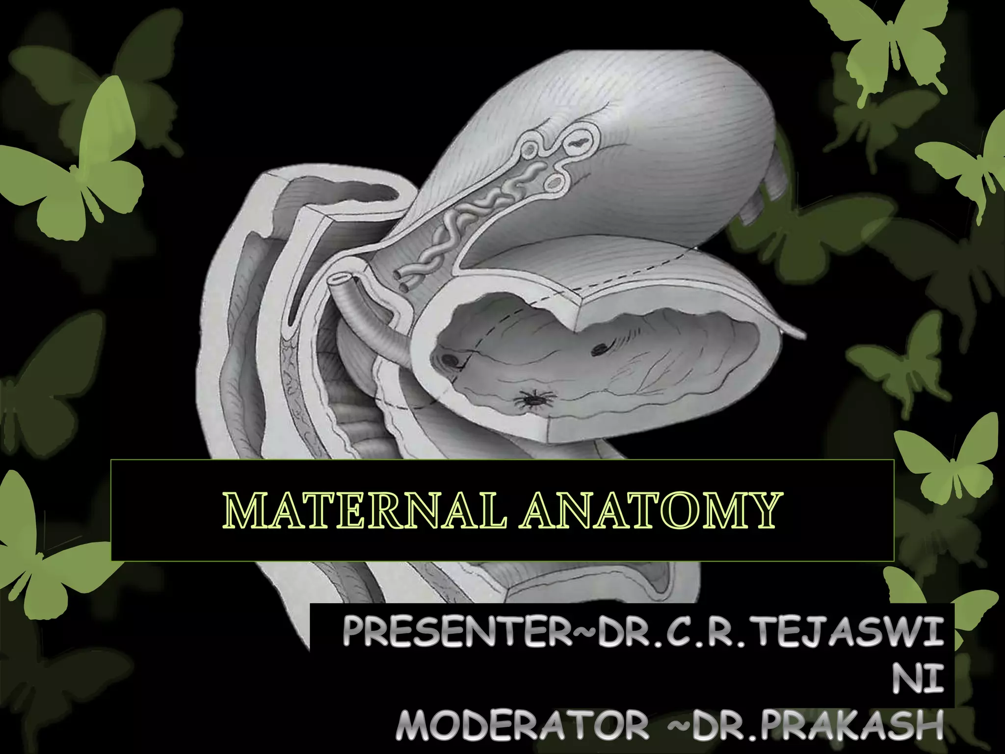 Maternal Anatomy by _ Dr. tejaswini [Autosaved].pptx