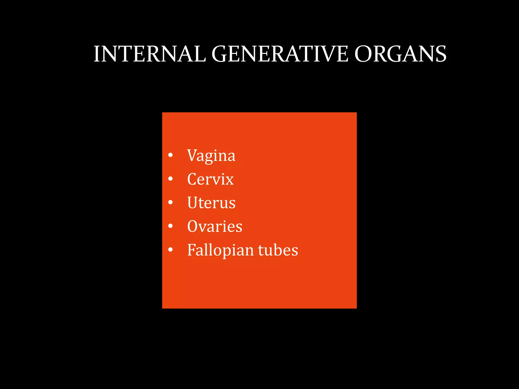 Maternal Anatomy by _ Dr. tejaswini [Autosaved].pptx