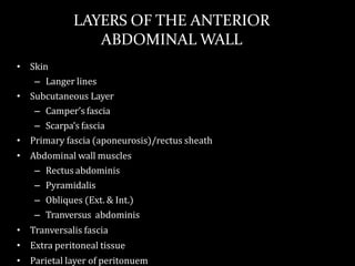 Maternal Anatomy by _ Dr. tejaswini [Autosaved].pptx