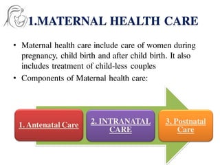 Maternal and child health | PDF