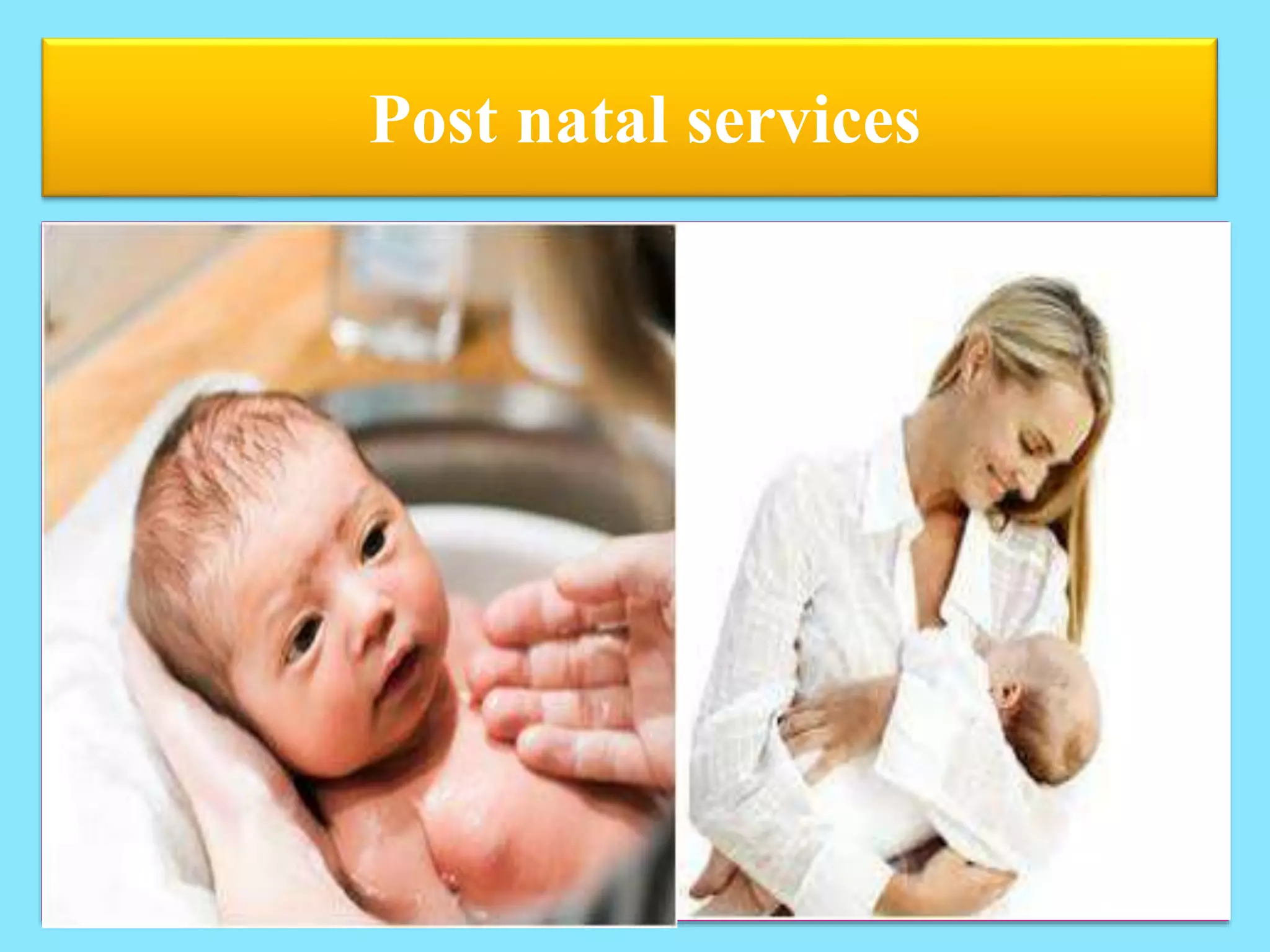 Maternal and child health care services | PPTX