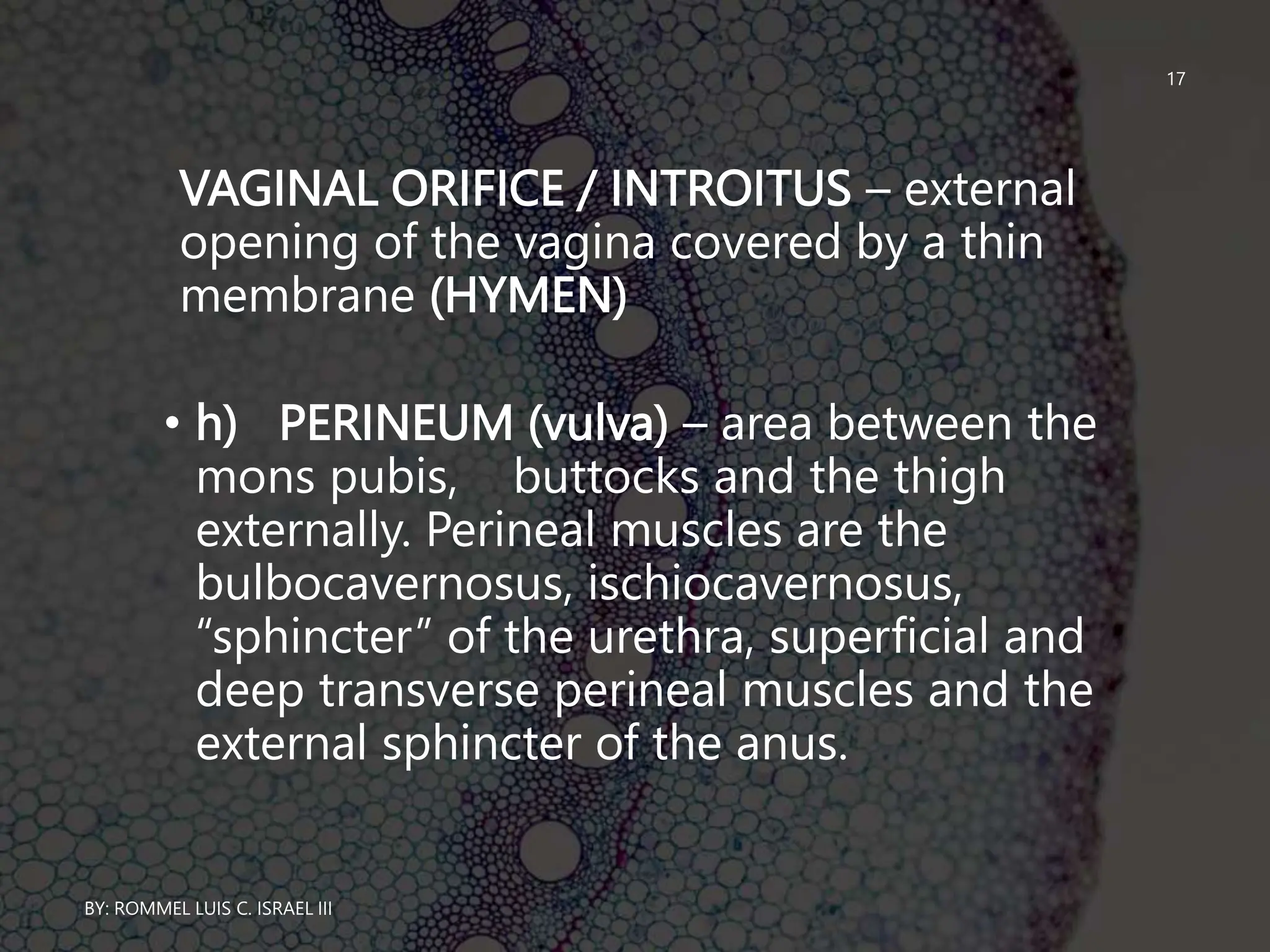 MATERNAL AND CHILD HEALTH NURSING | PPTX