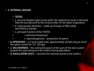MATERNAL AND CHILD HEALTH NURSING | PPTX