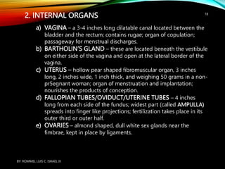 MATERNAL AND CHILD HEALTH NURSING | PPTX