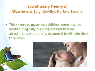 Maternal attachment | PPTX