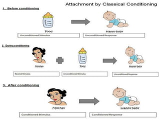 Maternal attachment | PPTX