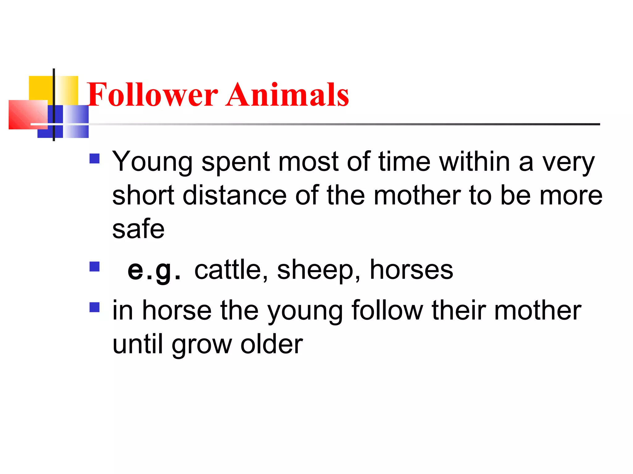 Reproductive behaviour 2-Maternal behaviour in animals | PPT