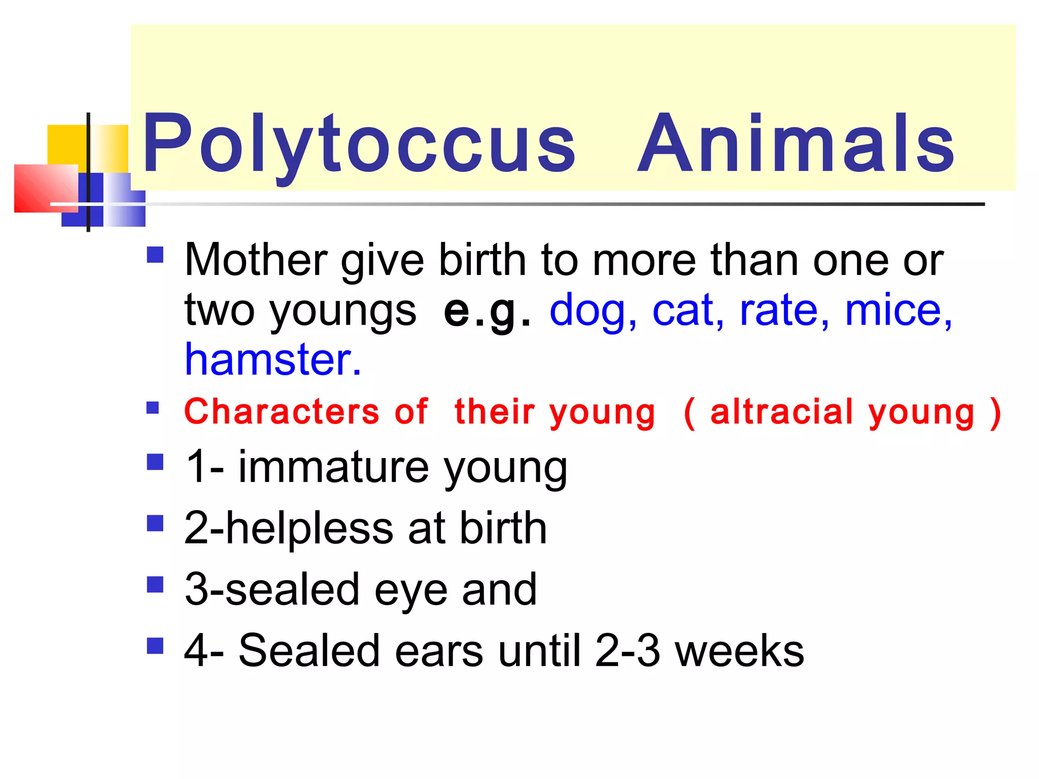 Reproductive behaviour 2-Maternal behaviour in animals | PPT