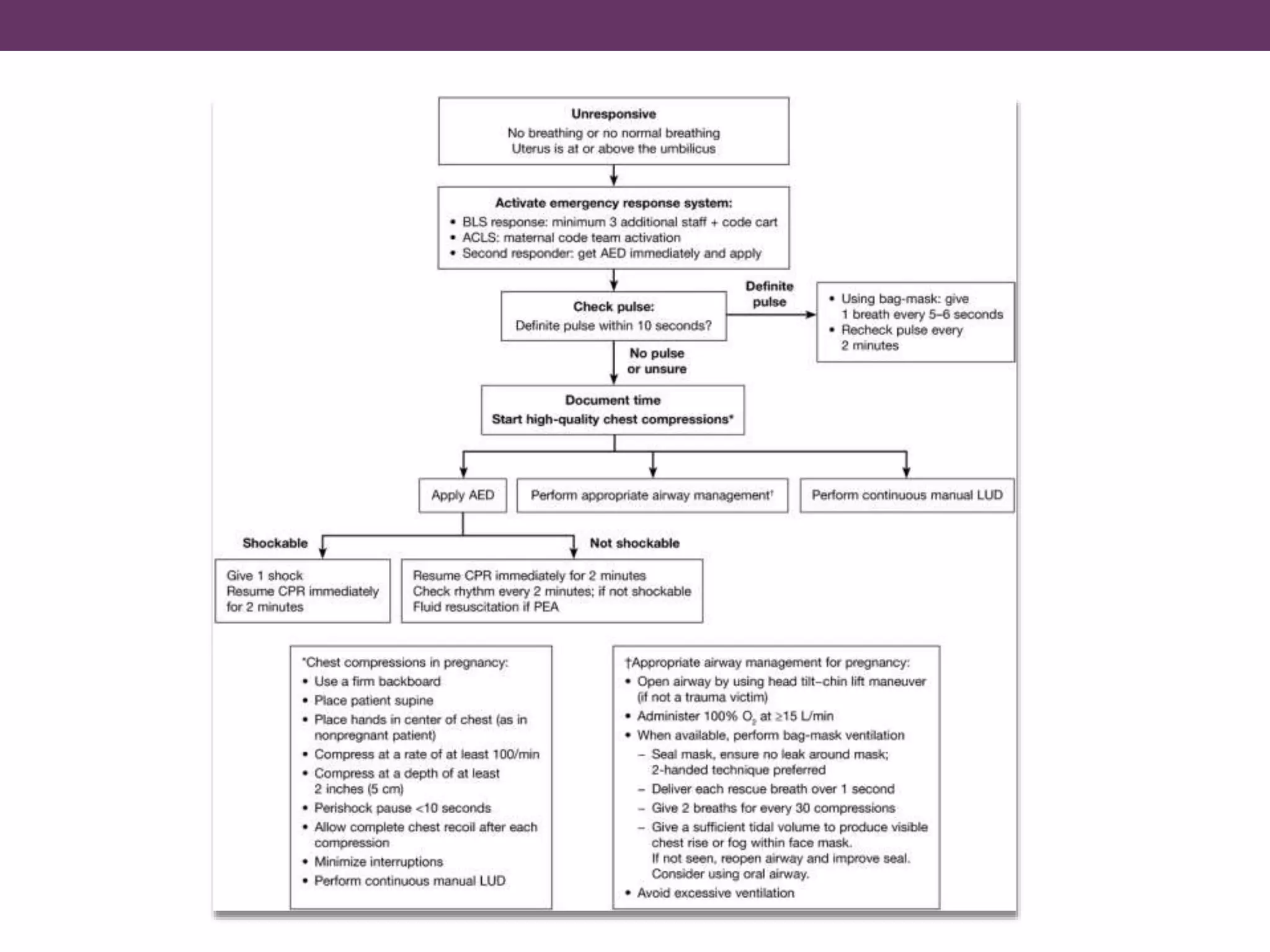 Maternal cardiac arrest (english) | PPTX