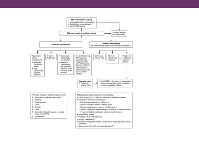 Maternal cardiac arrest (english) | PPTX