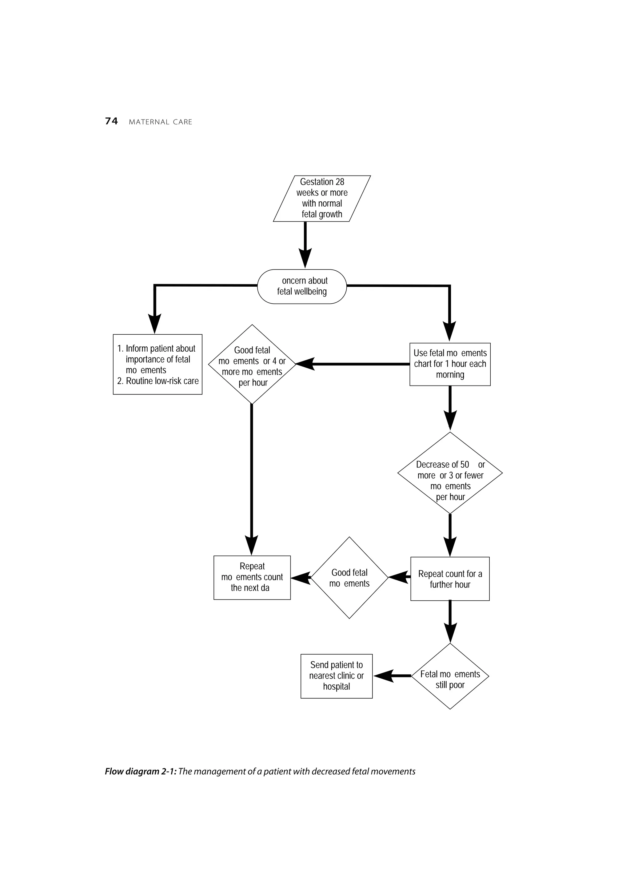 Maternal Care: Assessment of fetal growth and condition during ...