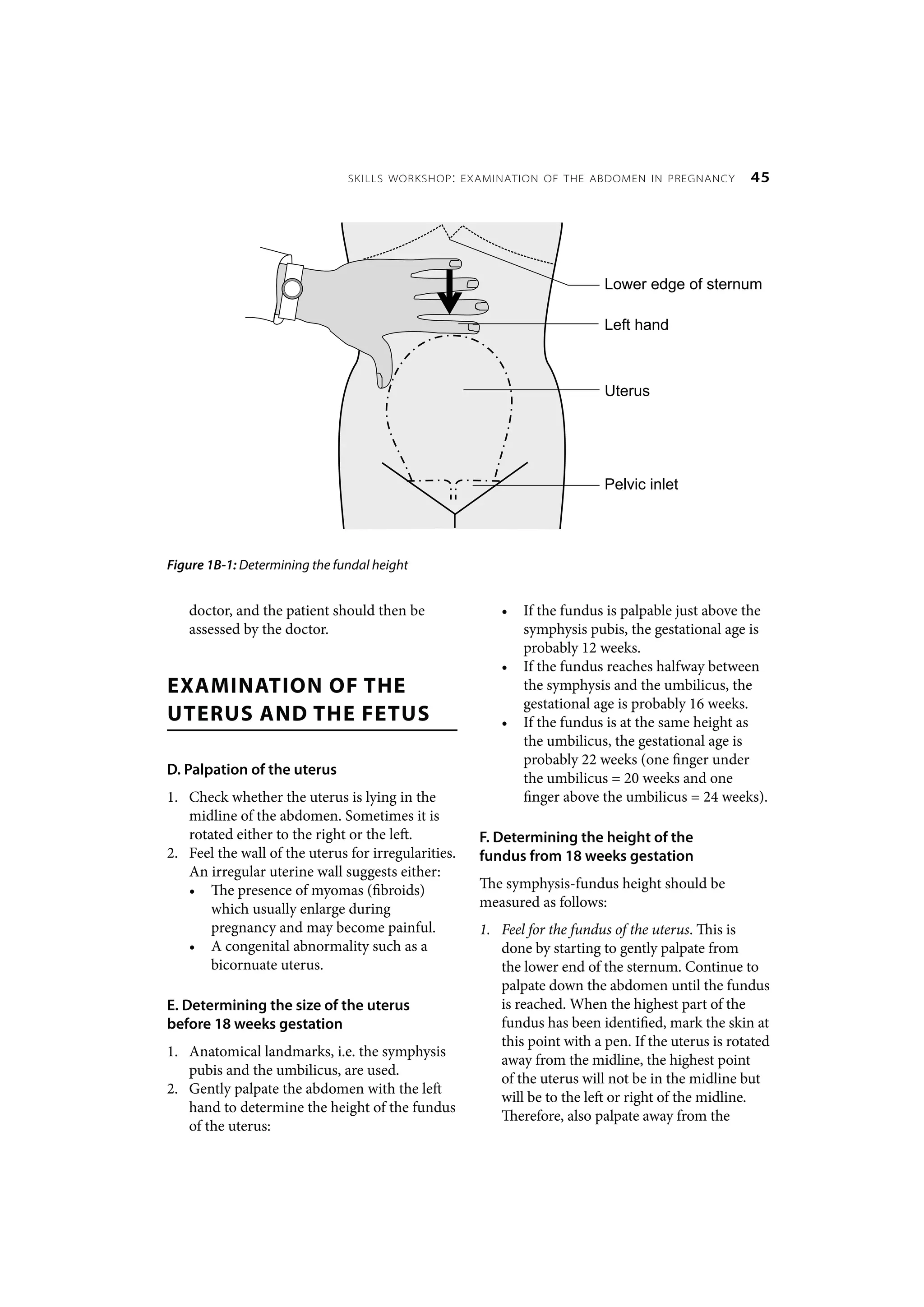 Maternal Care: Skills workshop Examination of the abdomen in pregnancy ...
