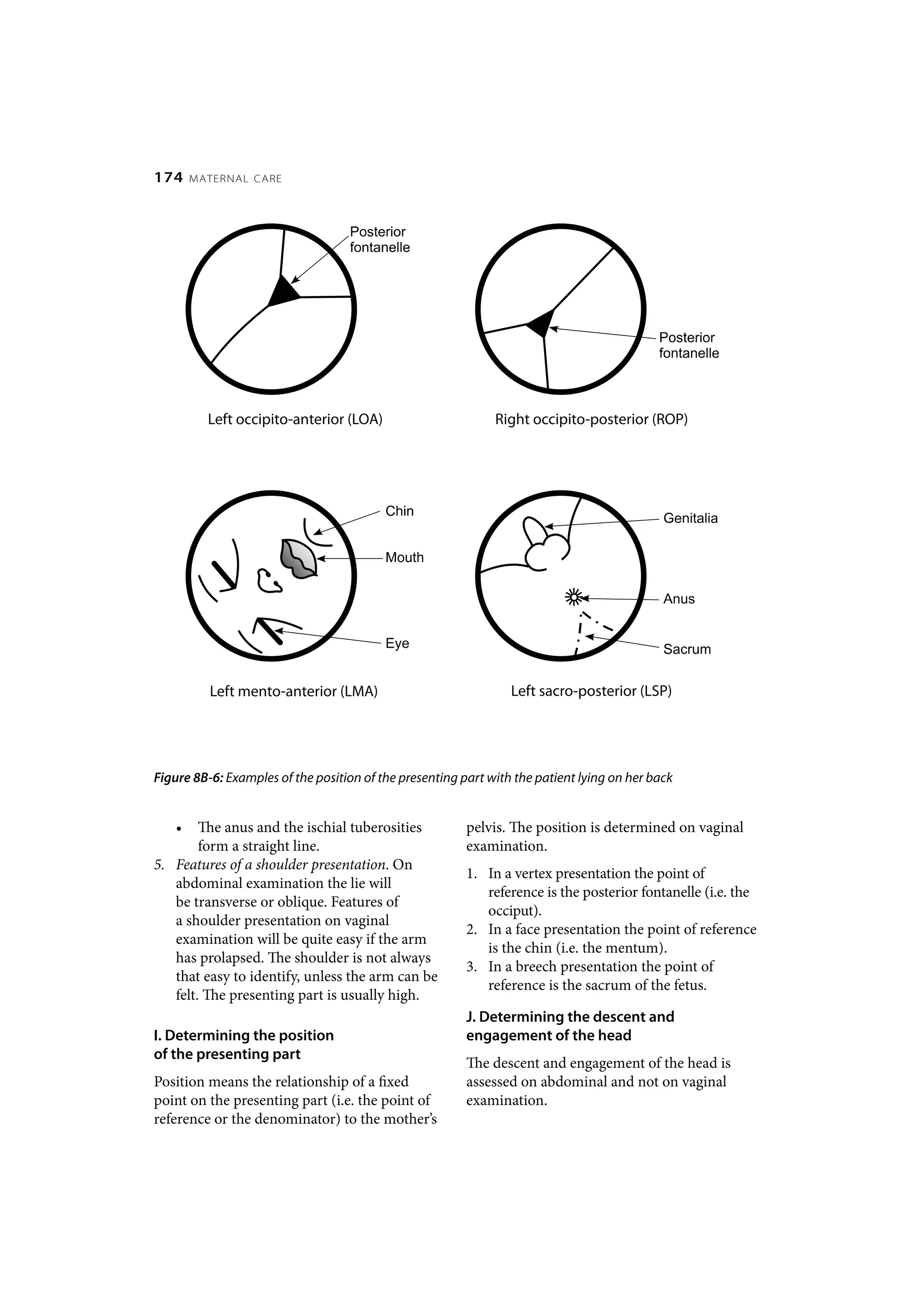 Maternal Care: Skills workshop Vaginal examination in labour | PDF