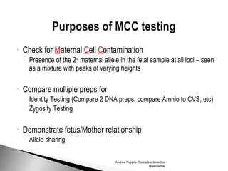 Maternal cell contamination (mcc) testing 2014 ecuador_draft | POT