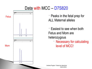 Maternal cell contamination (mcc) testing 2014 ecuador_draft | POT