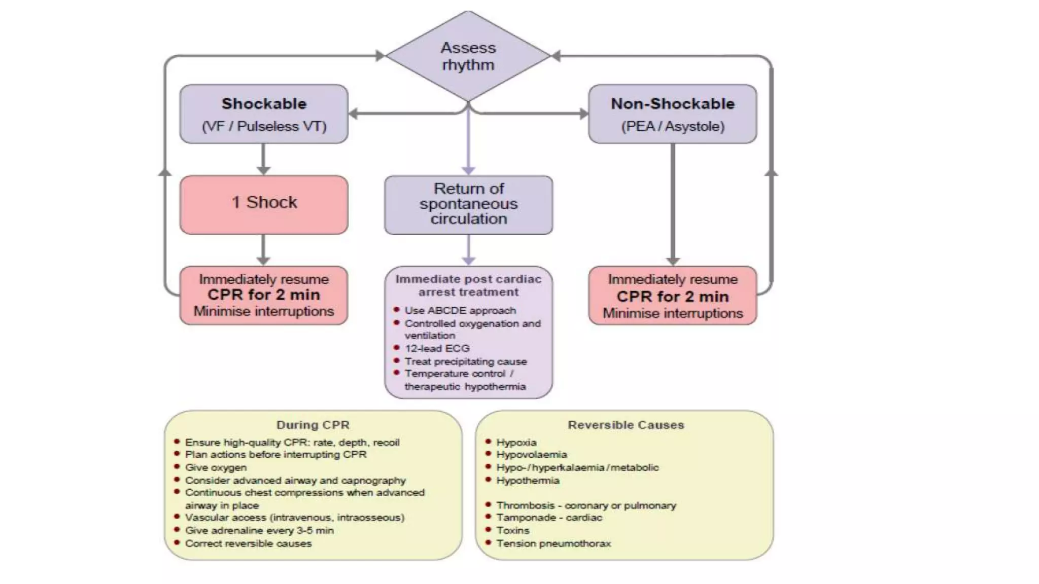 Maternal collapse in pregnancy | PPTX