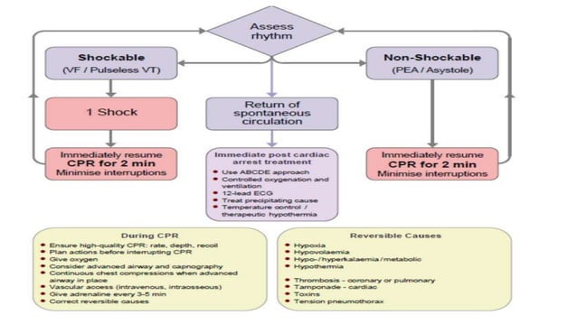 Maternal collapse in pregnancy & puerperium | PPTX